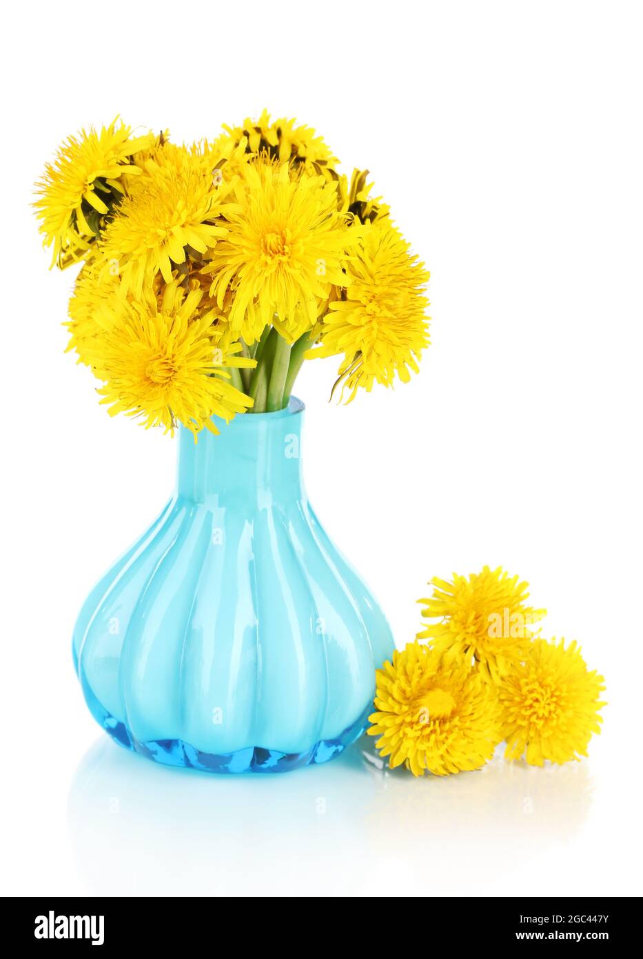 Dandelion flowers in vase isolated on white Stock Photo - Alamy