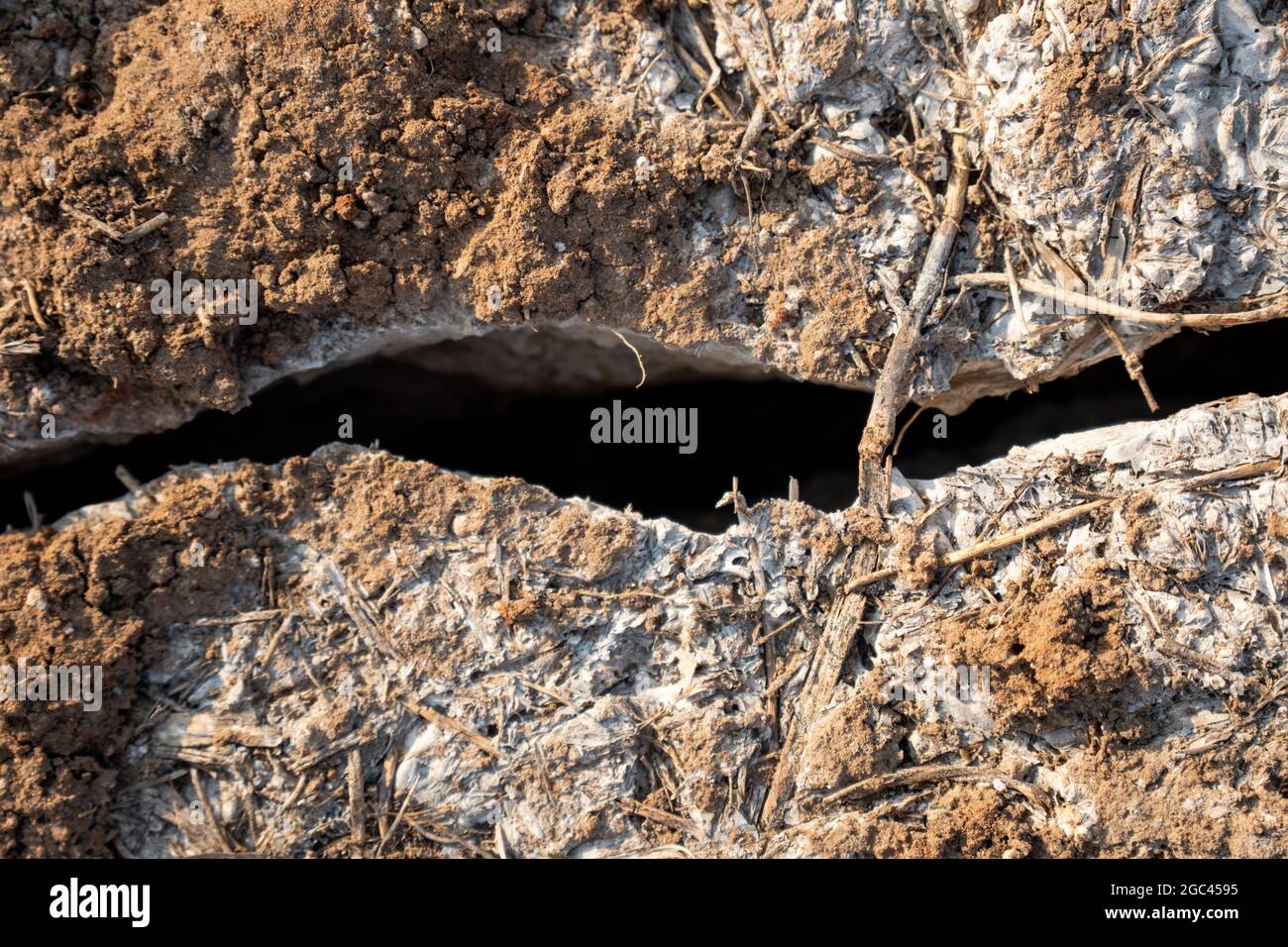 Deep cracks in the ground as a symbol of hot climate and drought Stock ...