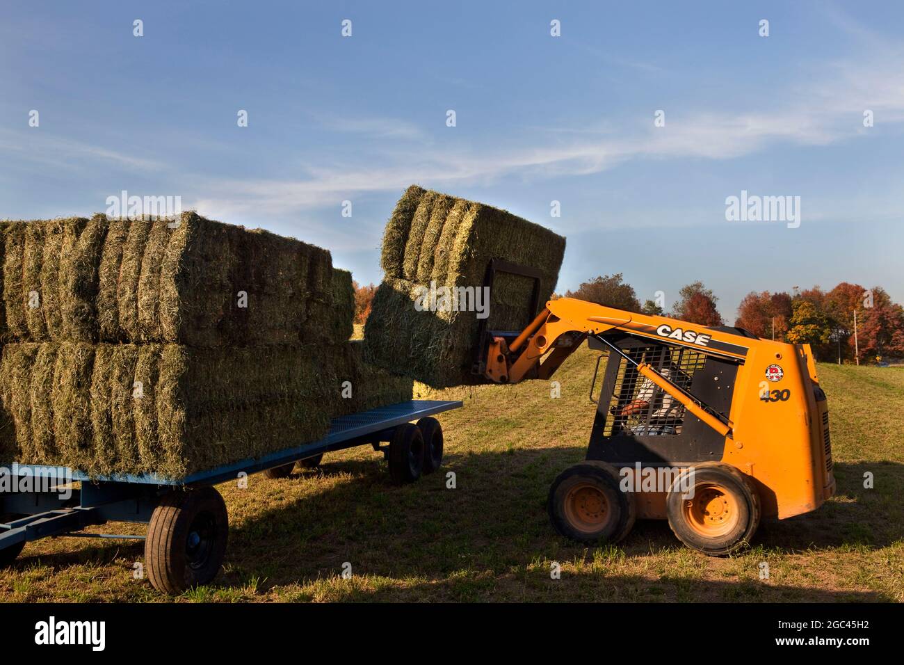 Loading 1000 ib. hay bales Stock Photo - Alamy