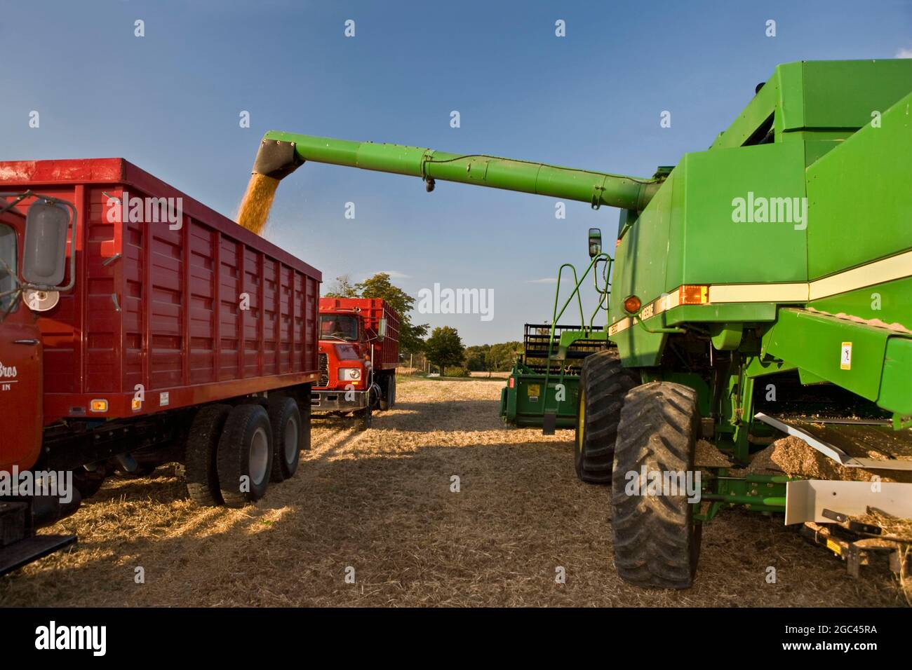 Combine transfers harvested soy beans Stock Photo - Alamy