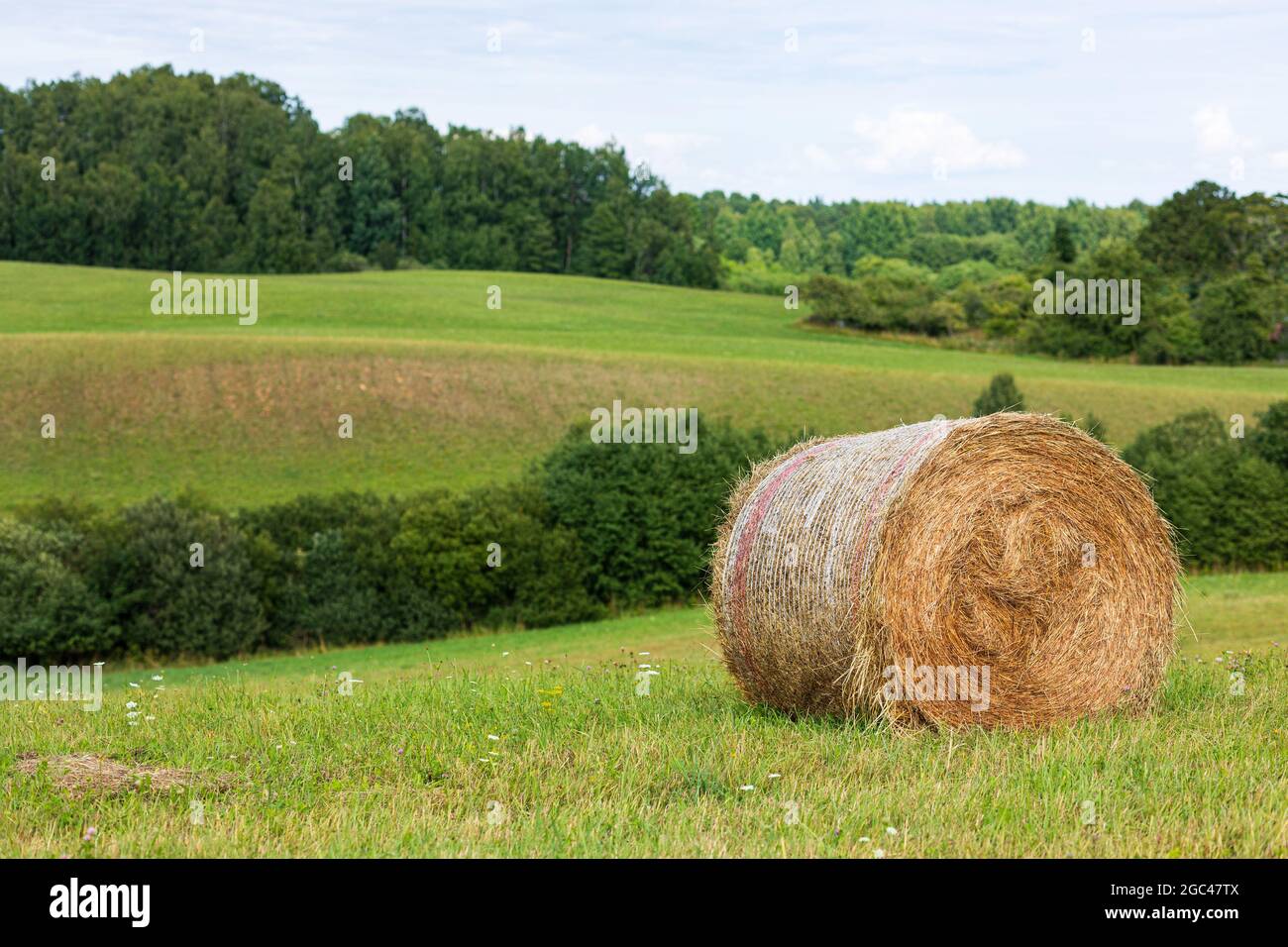 Closeup golden hay roll hi-res stock photography and images - Alamy