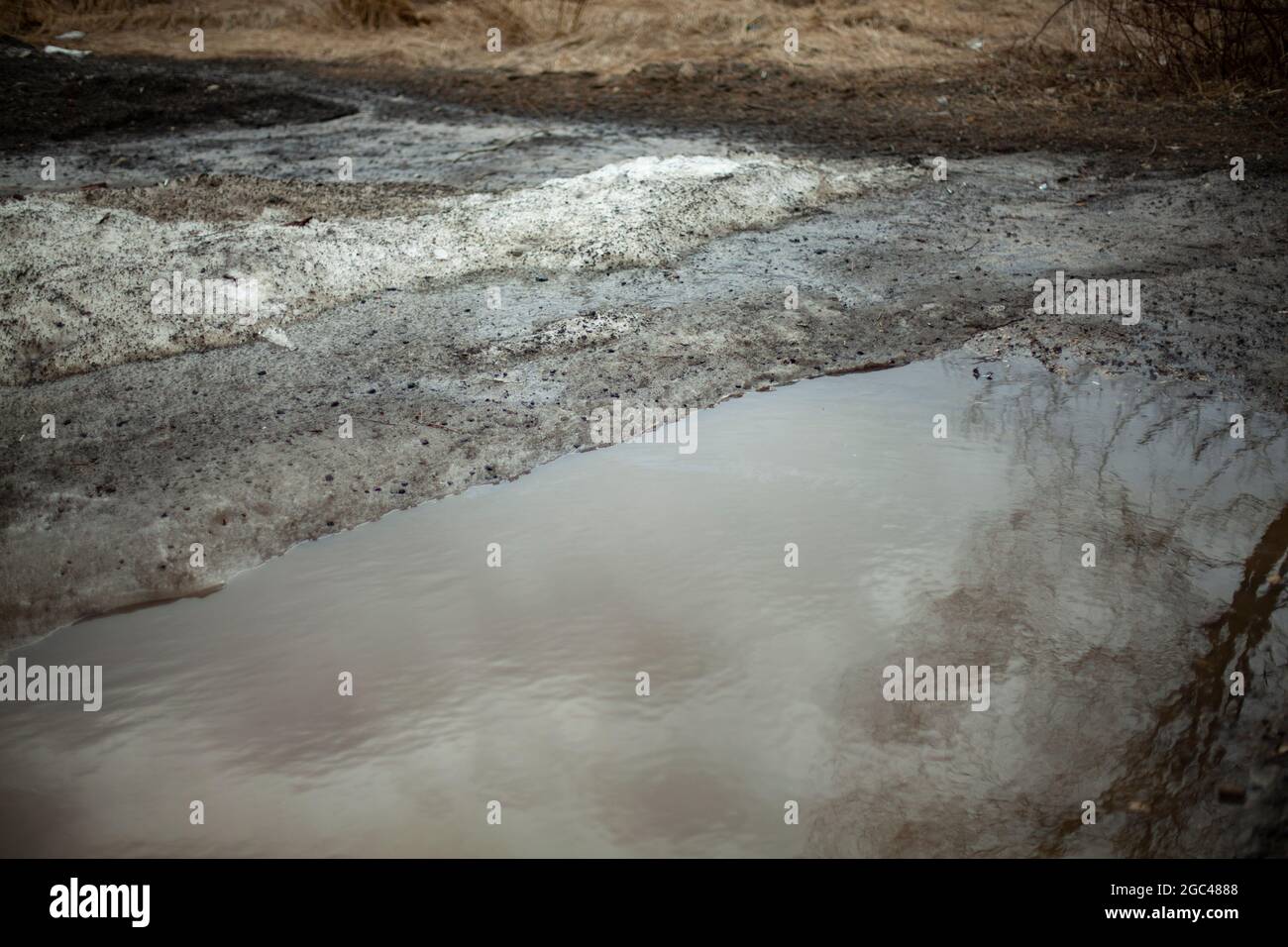 Melting snow. Big puddle. Dirty snow with soil pollution. The water is ...