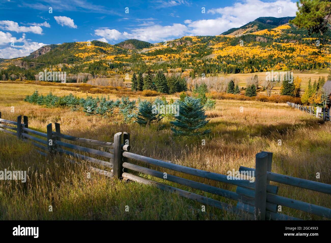 Wood pole fence during autumn in Colorado Stock Photo - Alamy