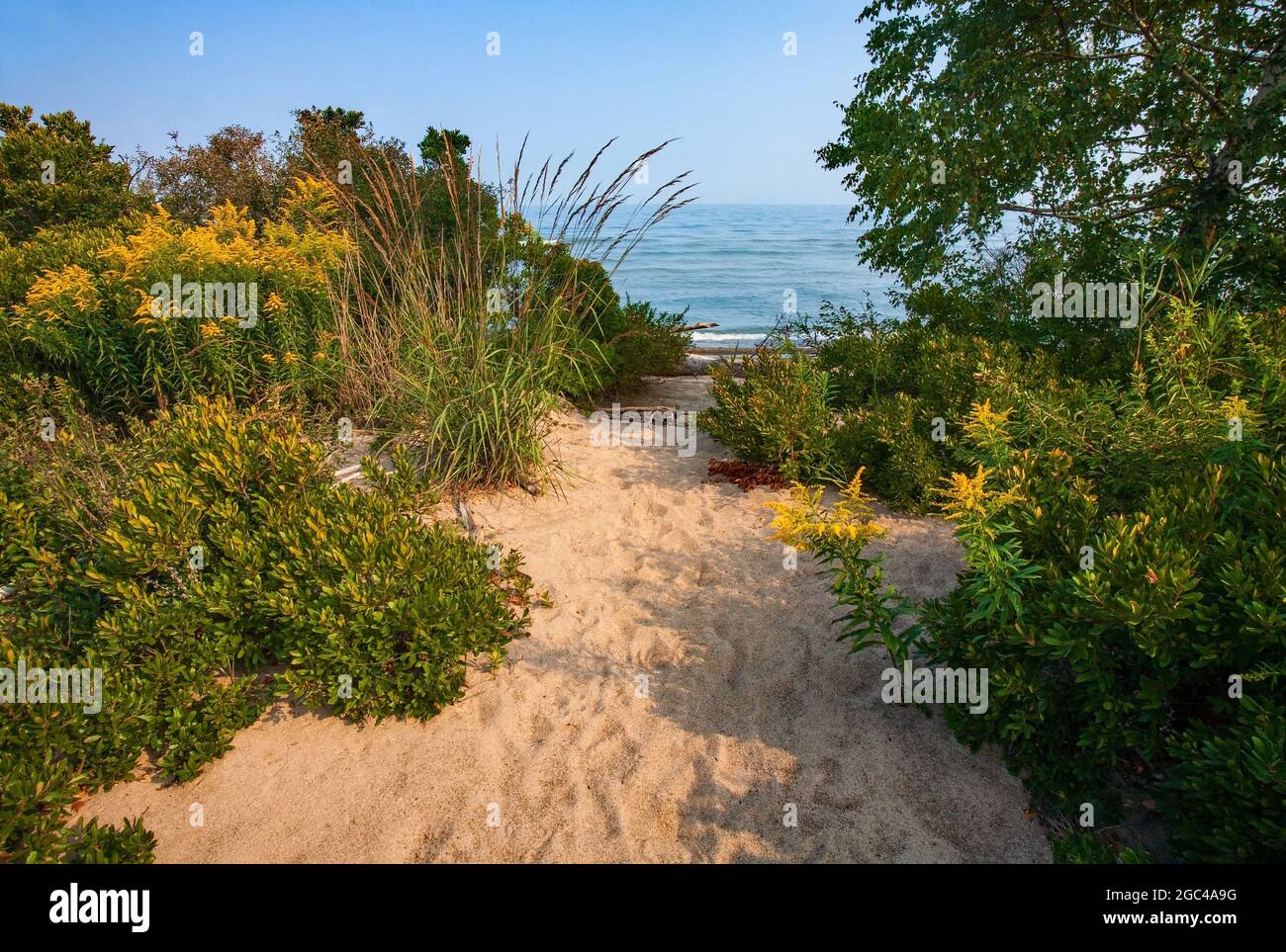 Presque Isle State Park in Pennsylvania is located along the south ...