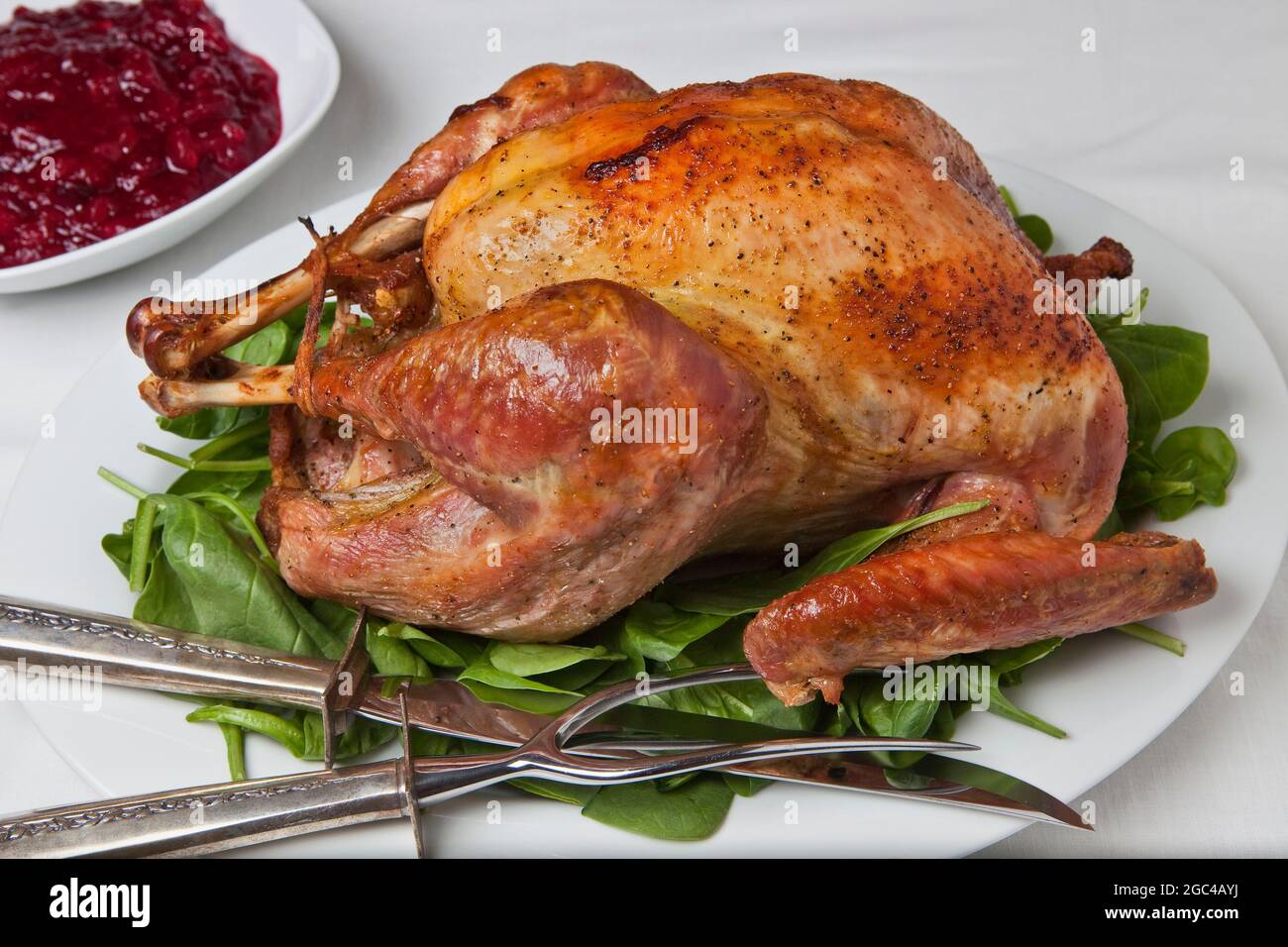 American turkey hi-res stock photography and images - Alamy