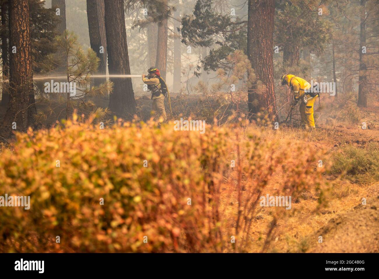 Lassen National Forest, USA. 6th Aug, 2021. Firefighters battle against ...