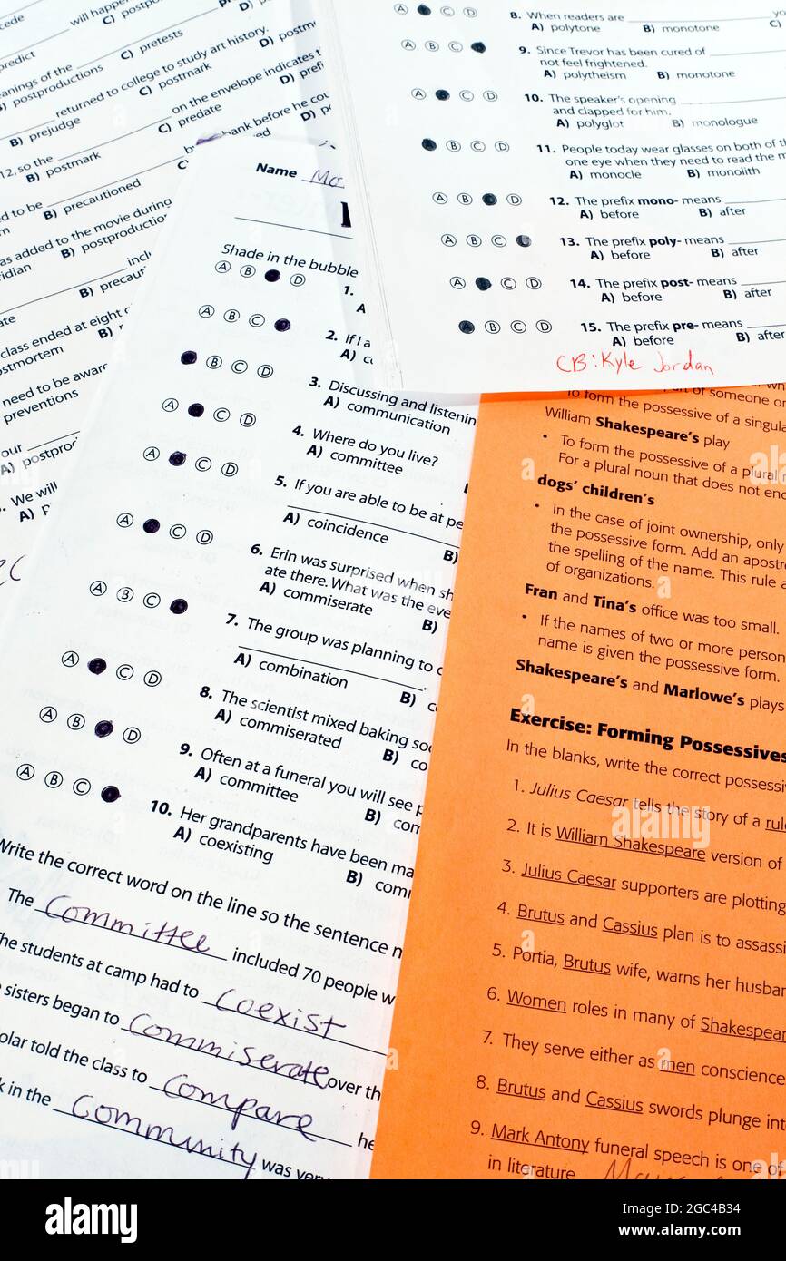 High School Language Arts Syllabus