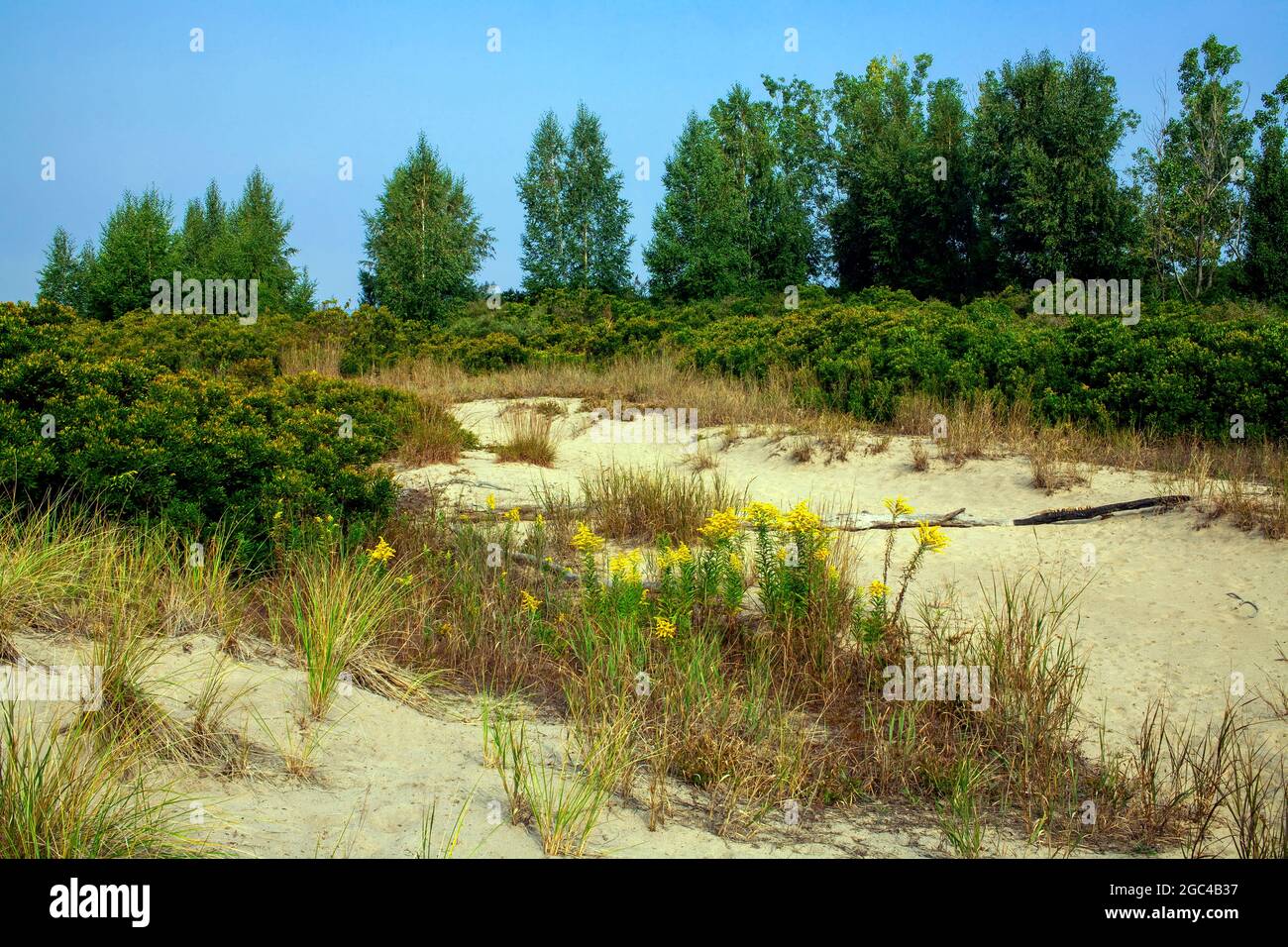 Presque Isle State Park in Pennsylvania is located along the south ...