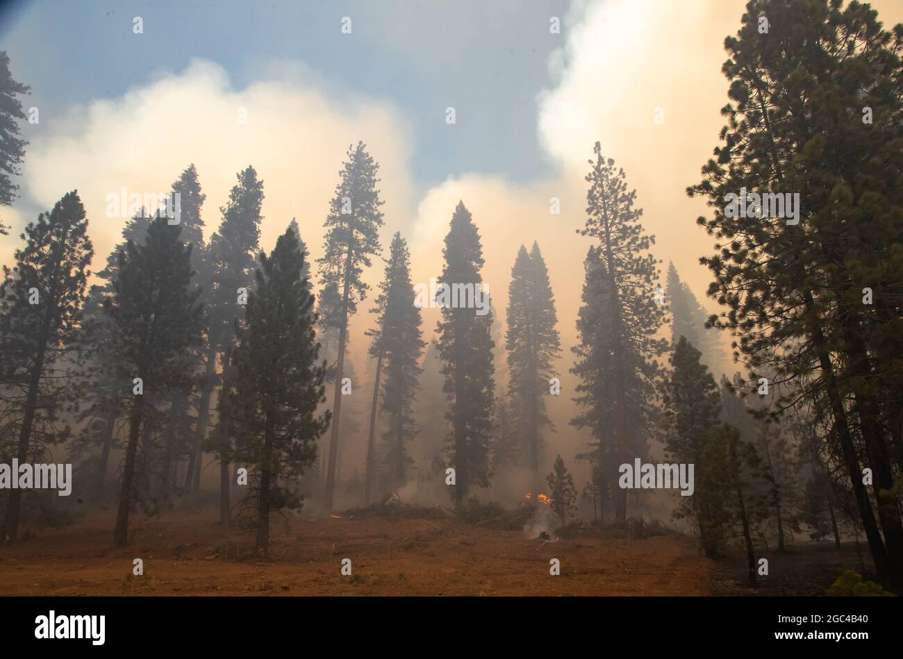 Lassen National Forest, USA. 6th Aug, 2021. Smoke rises from a wildfire ...