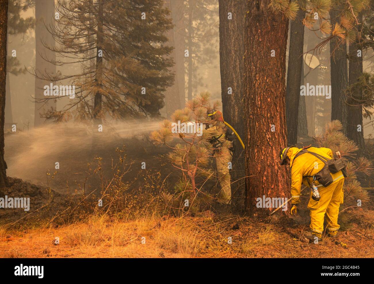 Lassen National Forest, USA. 6th Aug, 2021. Firefighters battle against ...