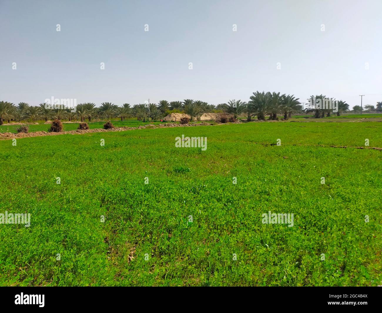 Empty grass field hi-res stock photography and images - Alamy