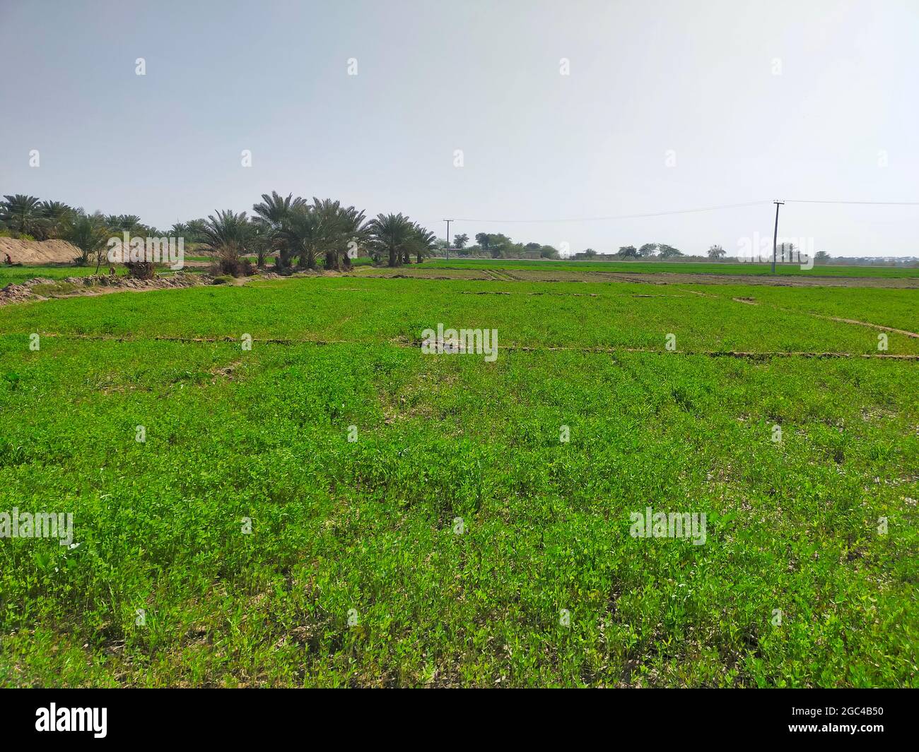 Empty grass field hi-res stock photography and images - Alamy