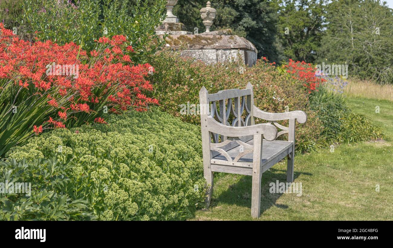 Wooden benches in a flower garden Stock Photo - Alamy