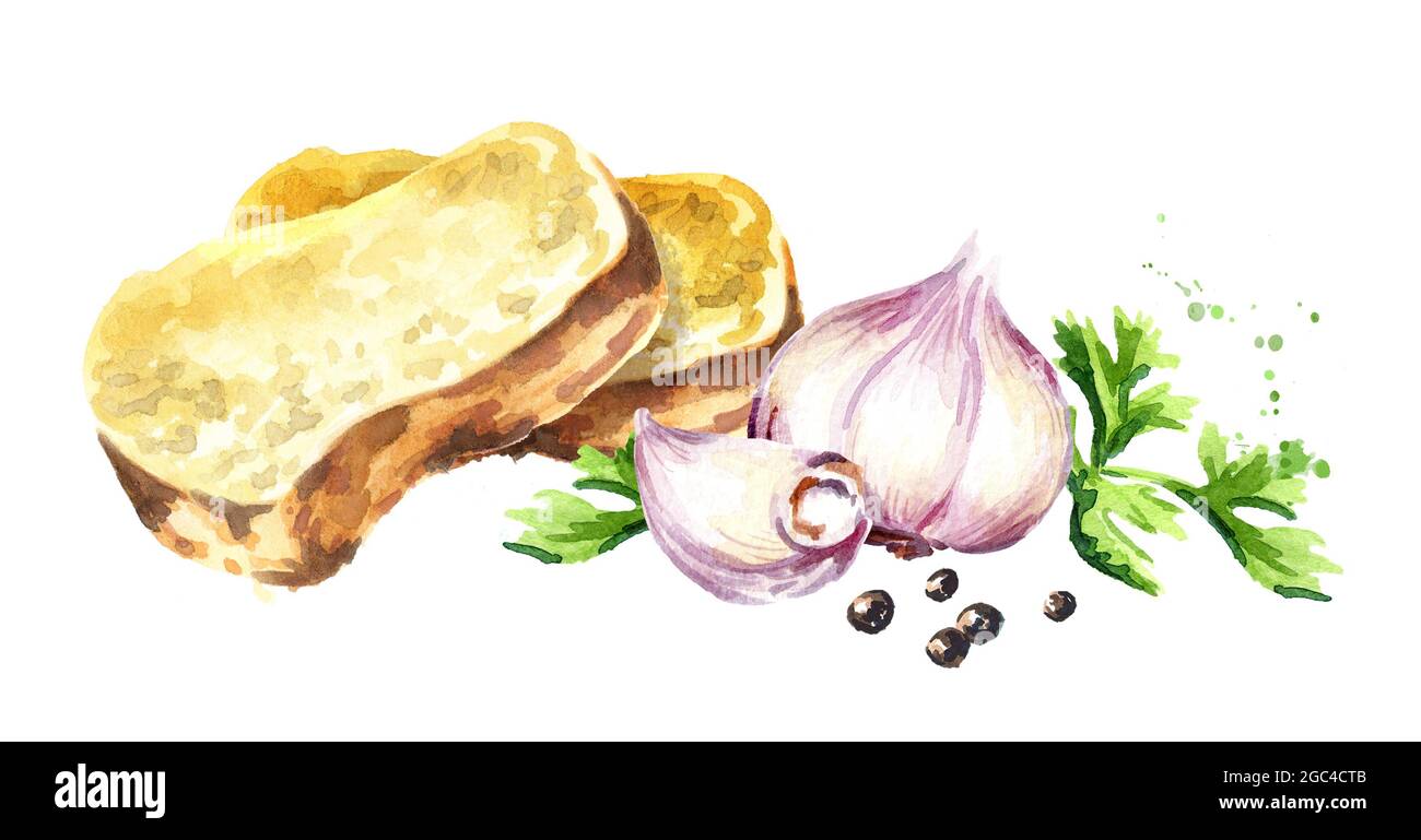Garlic bread. Watercolor hand drawn illustration, isolated on white ...
