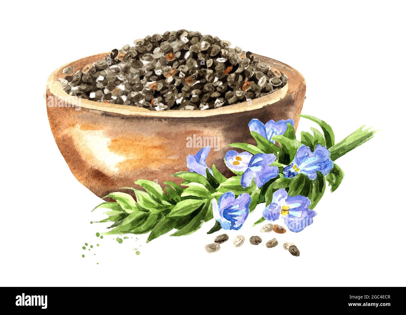 Bowl with organic chia seeds and chia branch with flowers. Hand drawn ...