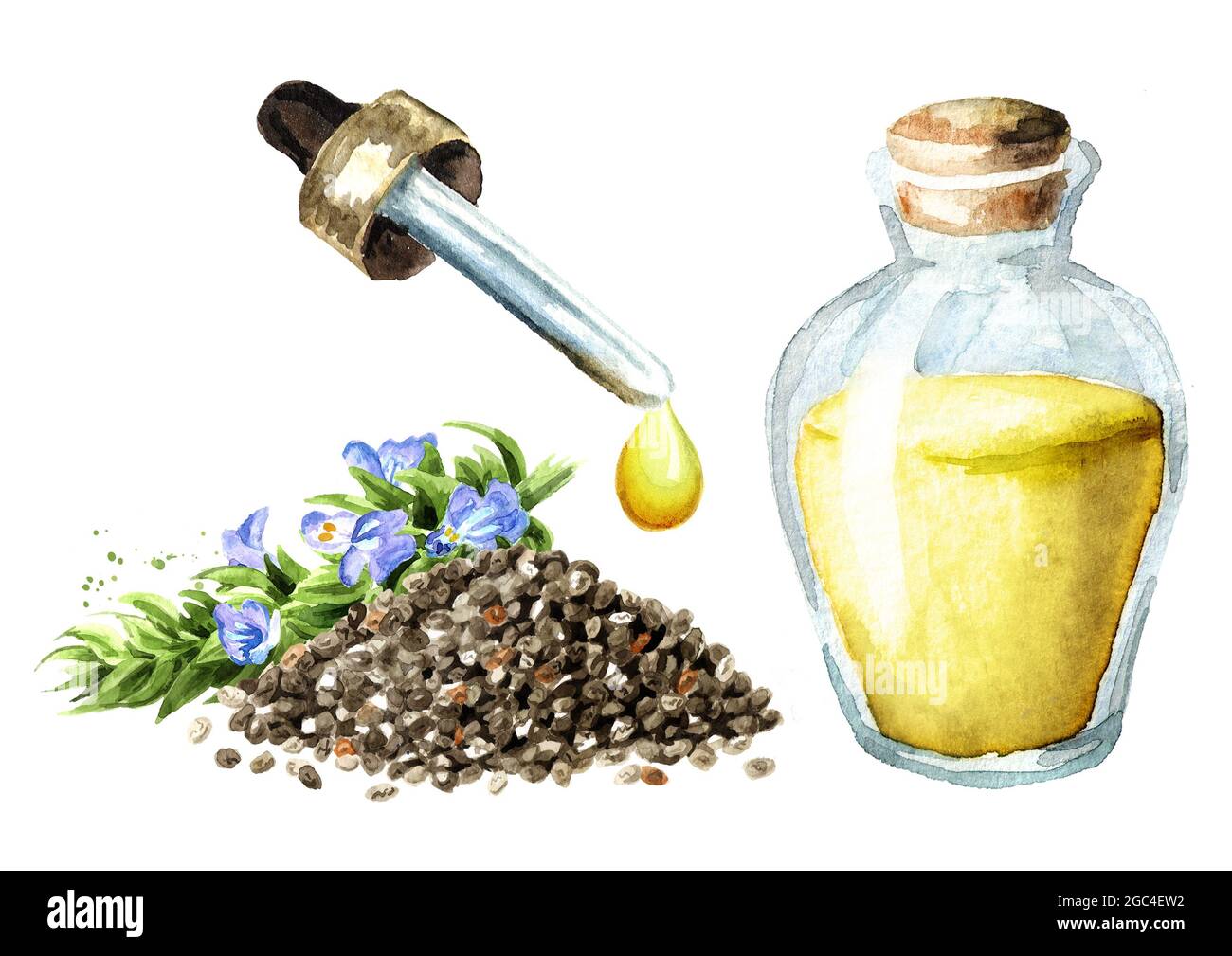 Organic chia seeds cosmetics oil set. Hand drawn watercolor ...
