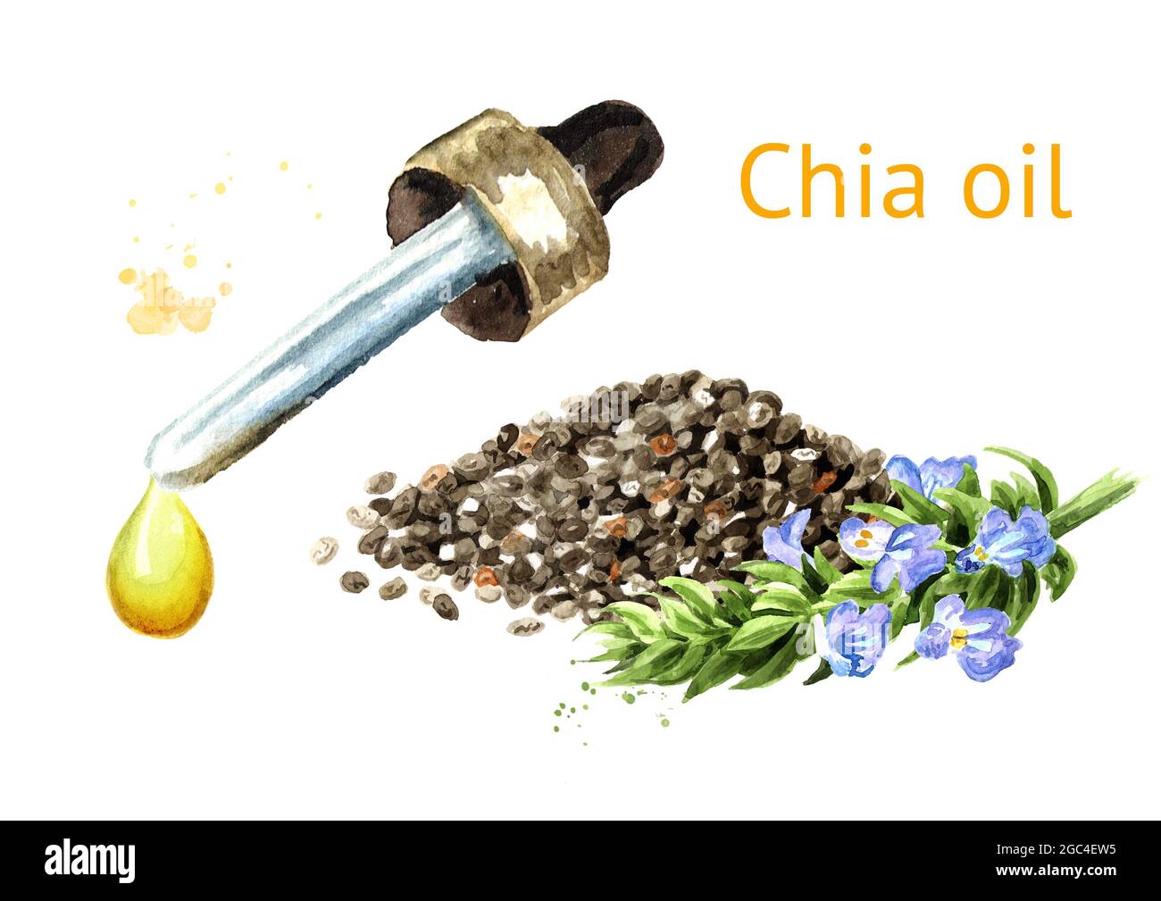 Organic chia seeds cosmetics oil. Hand drawn watercolor illustration ...