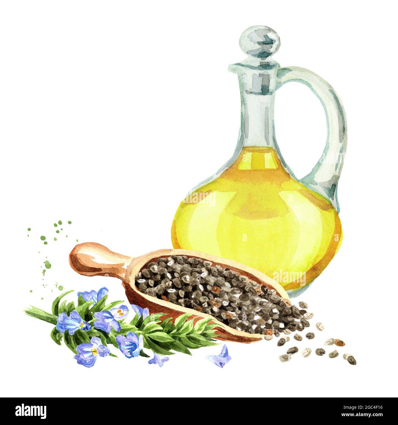 Organic chia seeds oil. Hand drawn watercolor illustration, isolated on ...