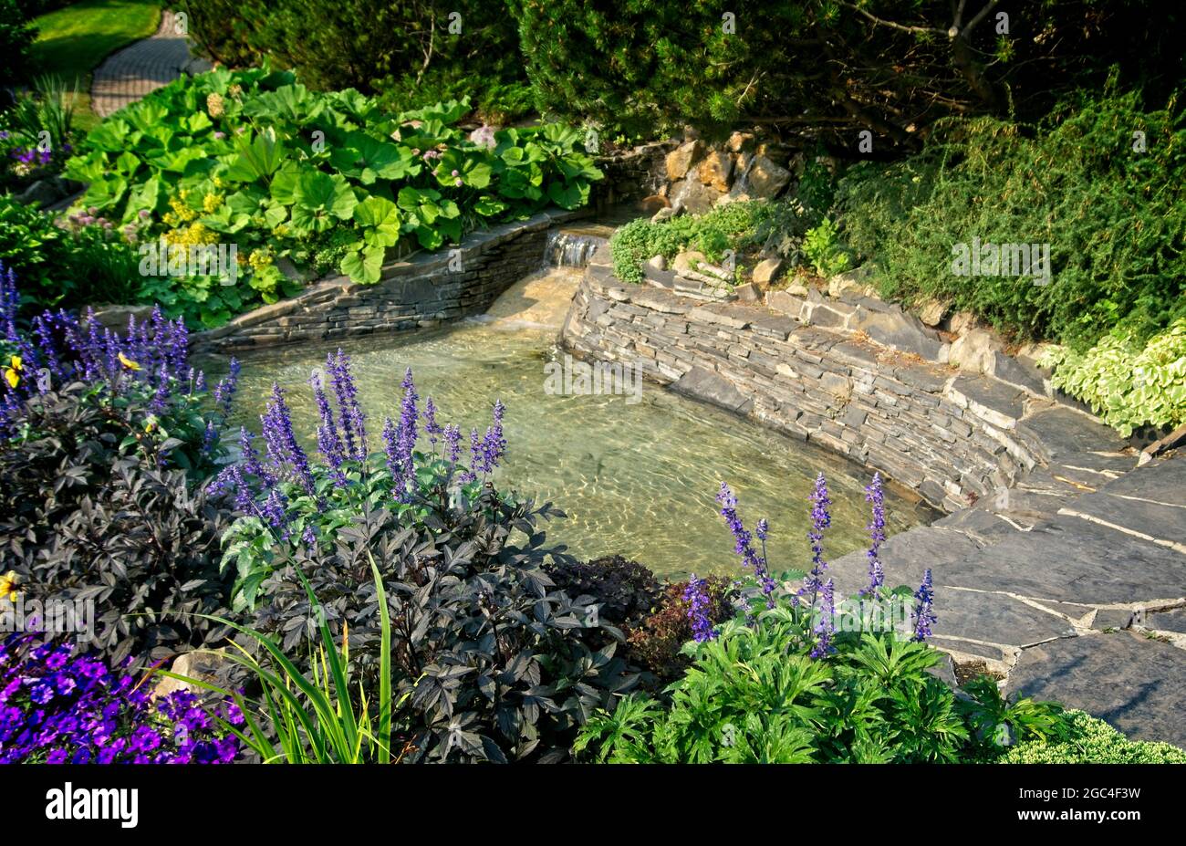 Riley stone hi-res stock photography and images - Alamy