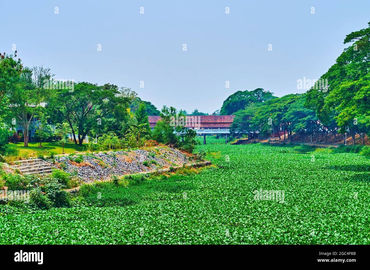 The lush nature of Lamphun with a view of Kuang River, covered with ...