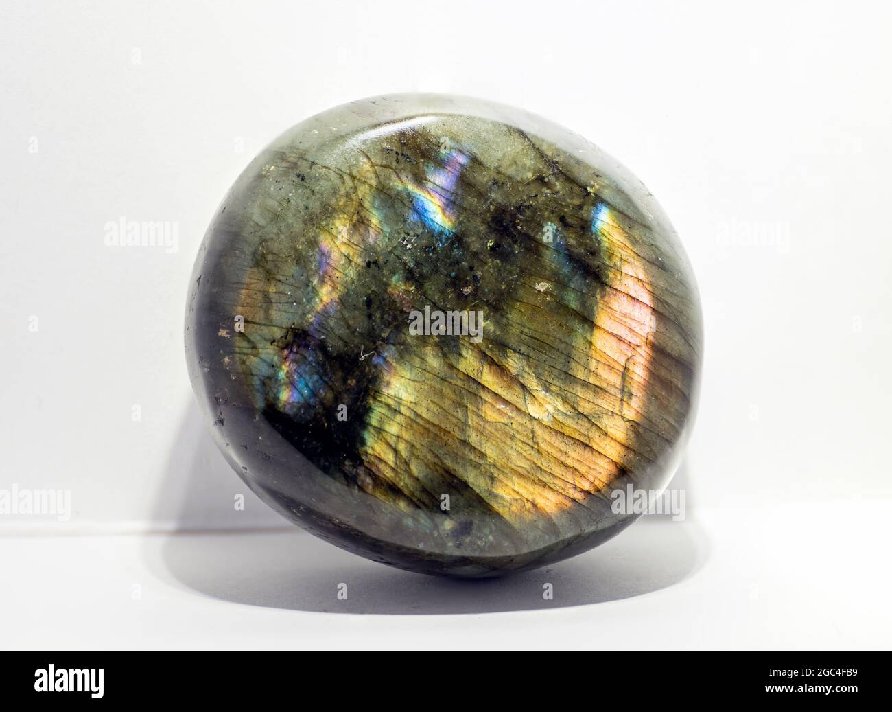 Labradorescence hi-res stock photography and images - Alamy