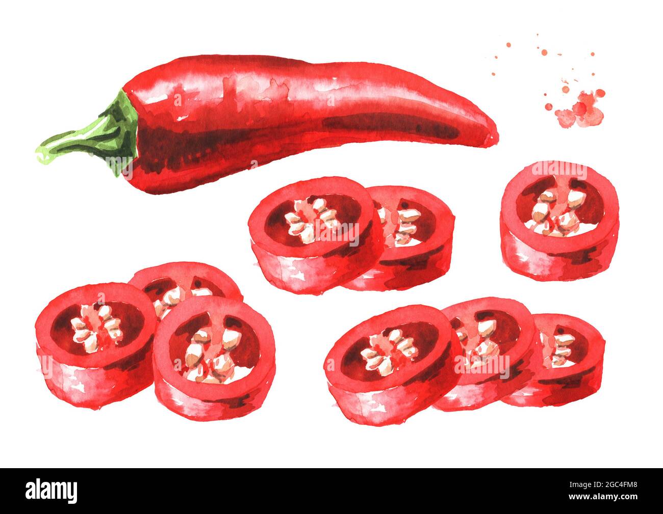 Red hot chili pepper sliced set. Hand drawn watercolor illustration ...