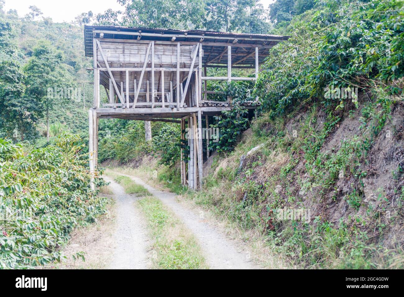 Coffee loading facility at a plantantion near Manizales, Colombia Stock ...