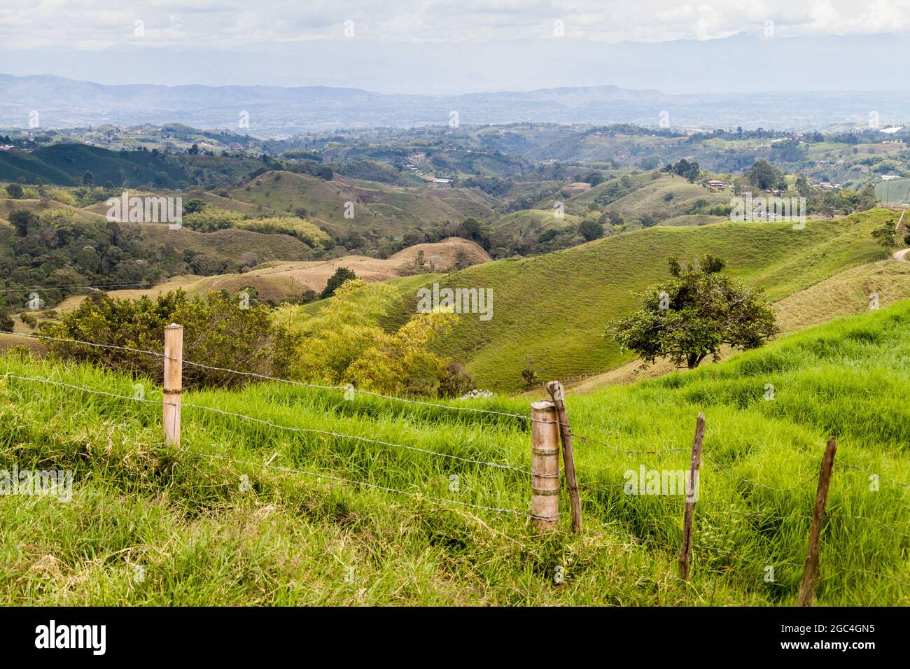 Colombia Coffee Growing Region High Resolution Stock Photography and ...