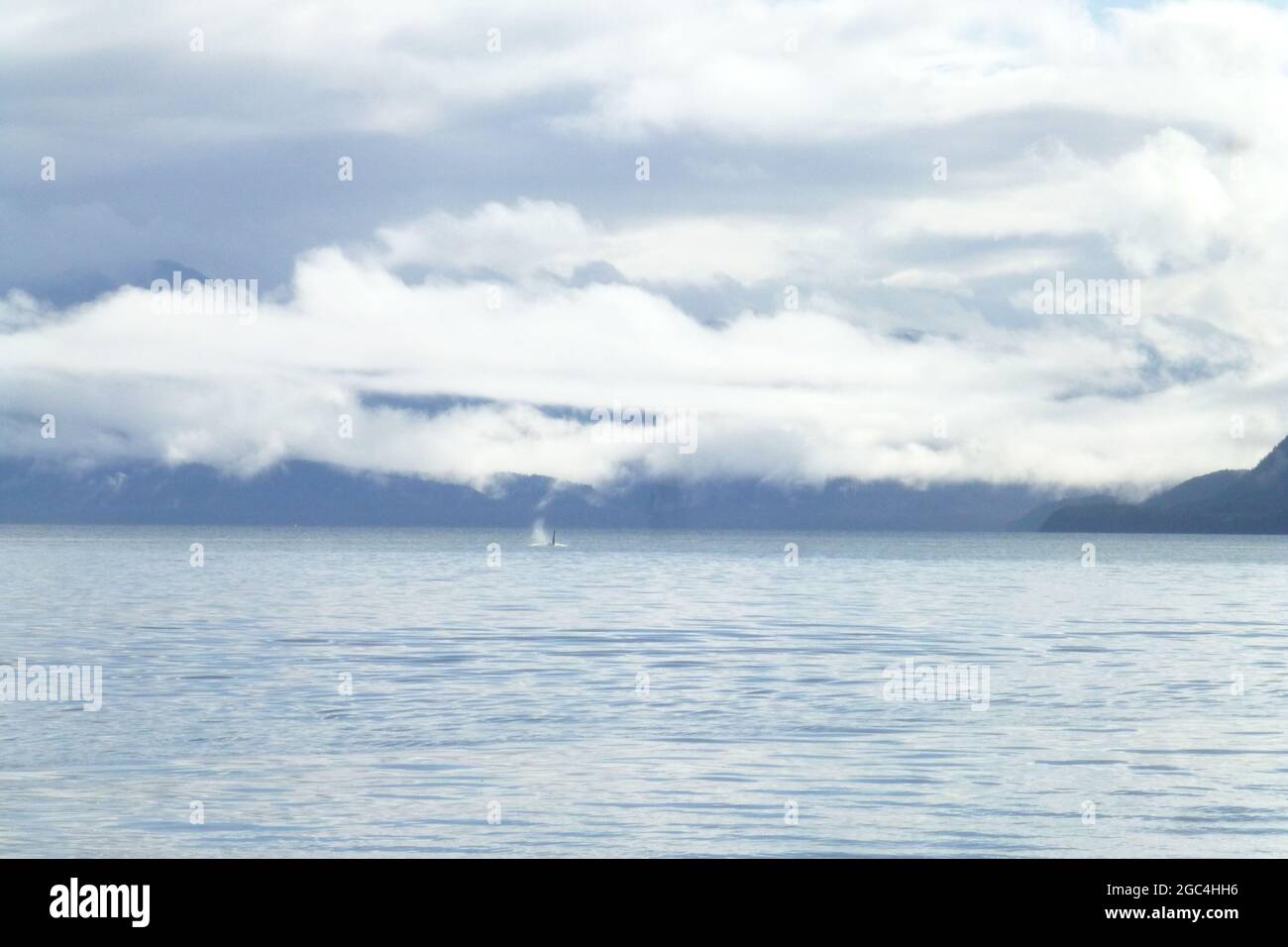 stormy bad weather and whale watching in Alaska Stock Photo - Alamy
