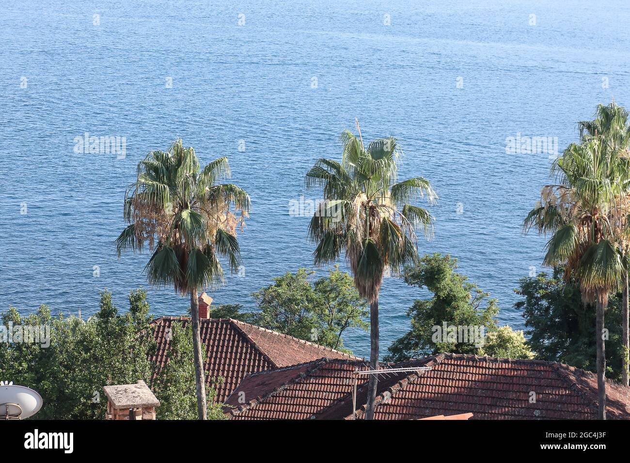 Summer outdoor scene of tourist village with palm trees, sea and houses ...