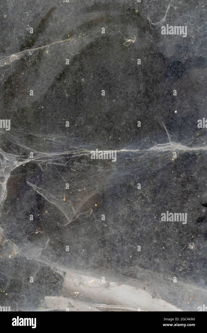 Texture or background of a dirty old glass with spider web Stock Photo ...