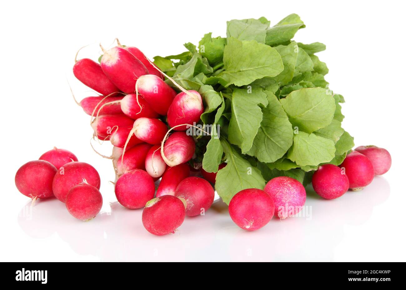 Small garden radish with leaves isolated on white Stock Photo - Alamy