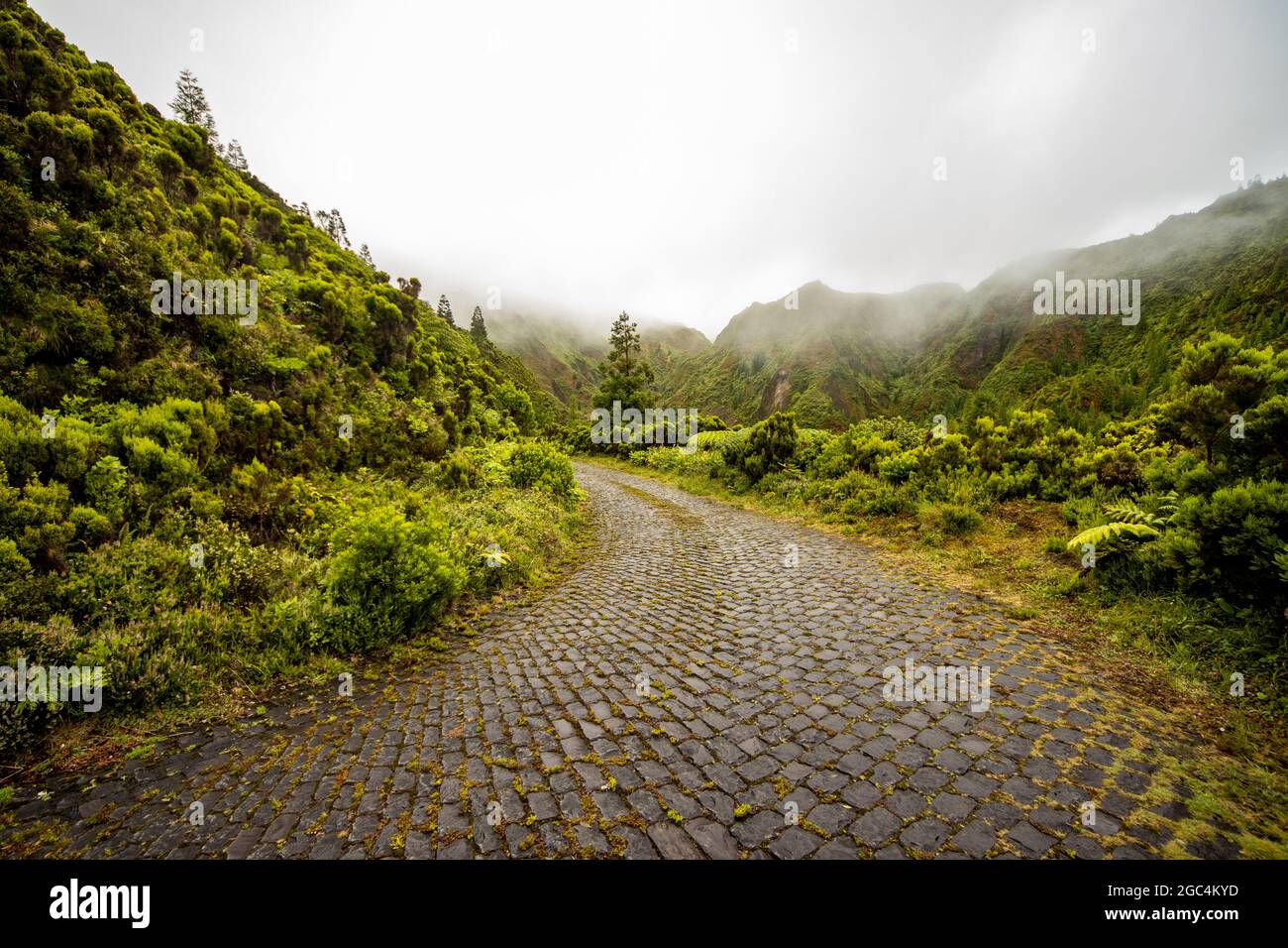 Sao miguel azores heather hi-res stock photography and images - Alamy