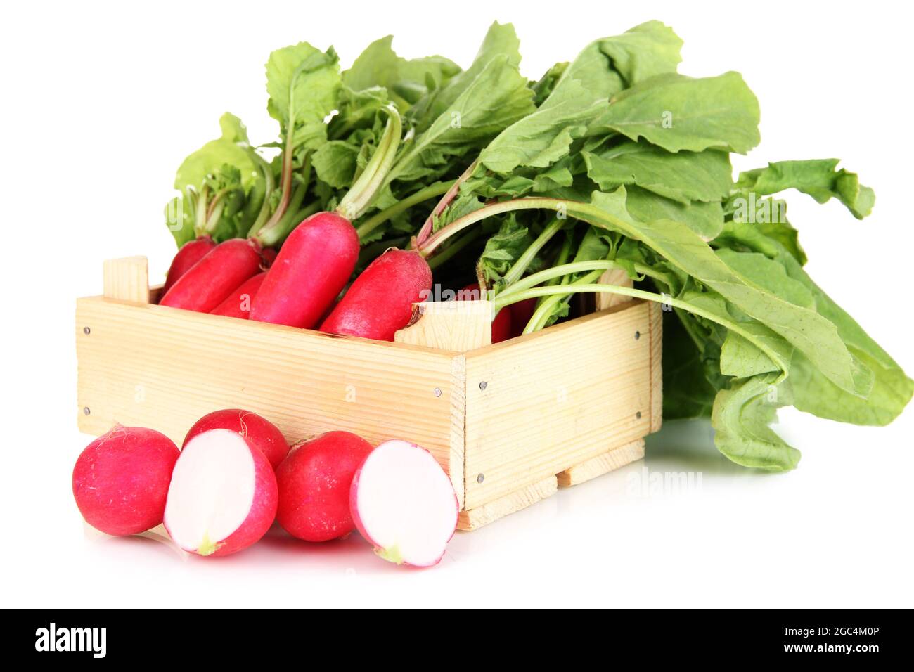 Small garden radish with leaves isolated on white Stock Photo - Alamy