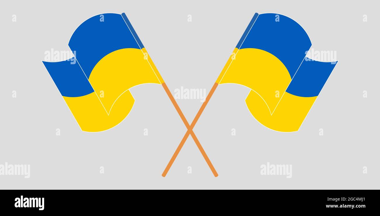 Crossed and waving flags of the Ukraine. Vector illustration Stock ...
