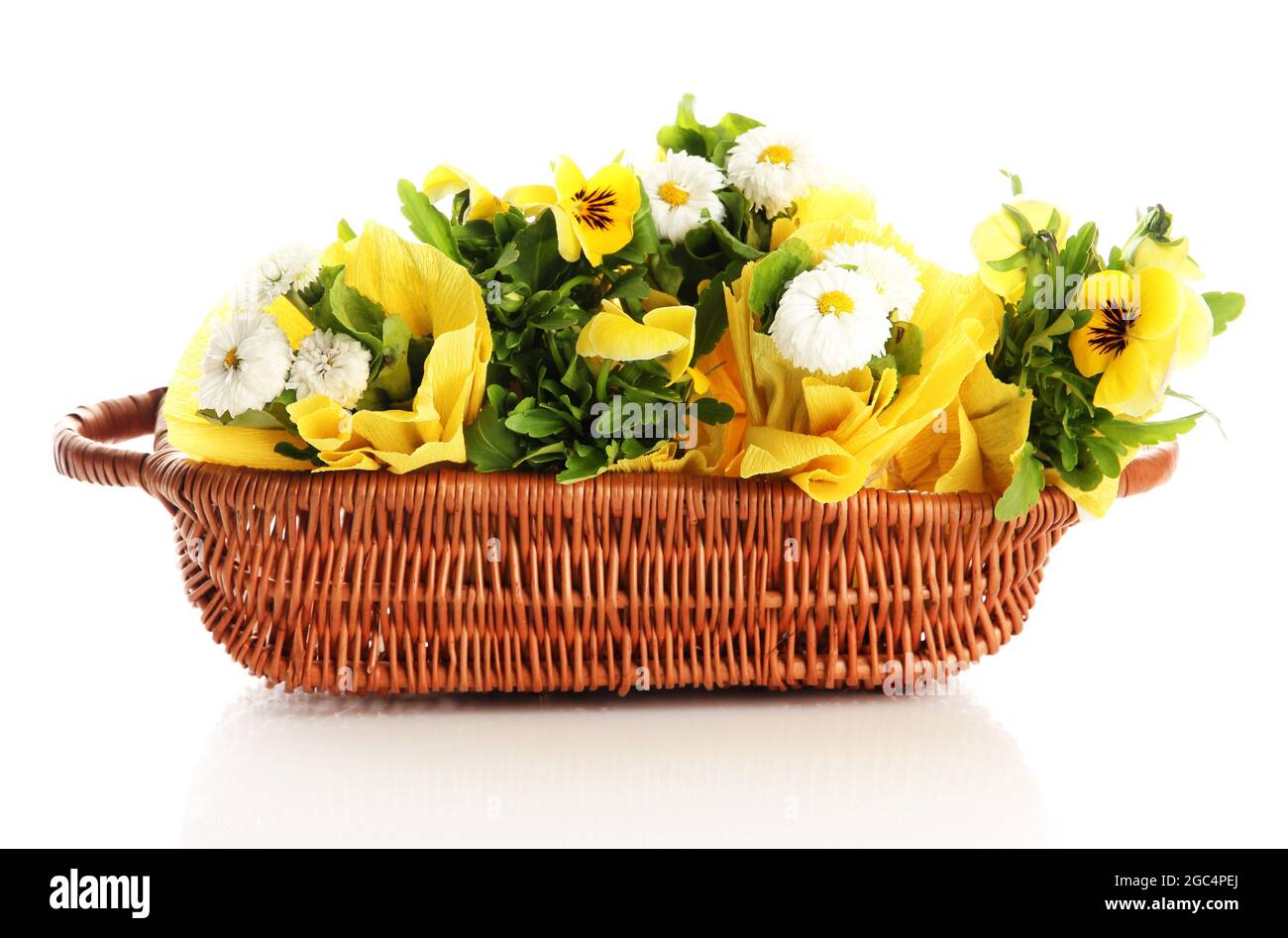 Beautiful spring flowers in basket isolated on white Stock Photo - Alamy