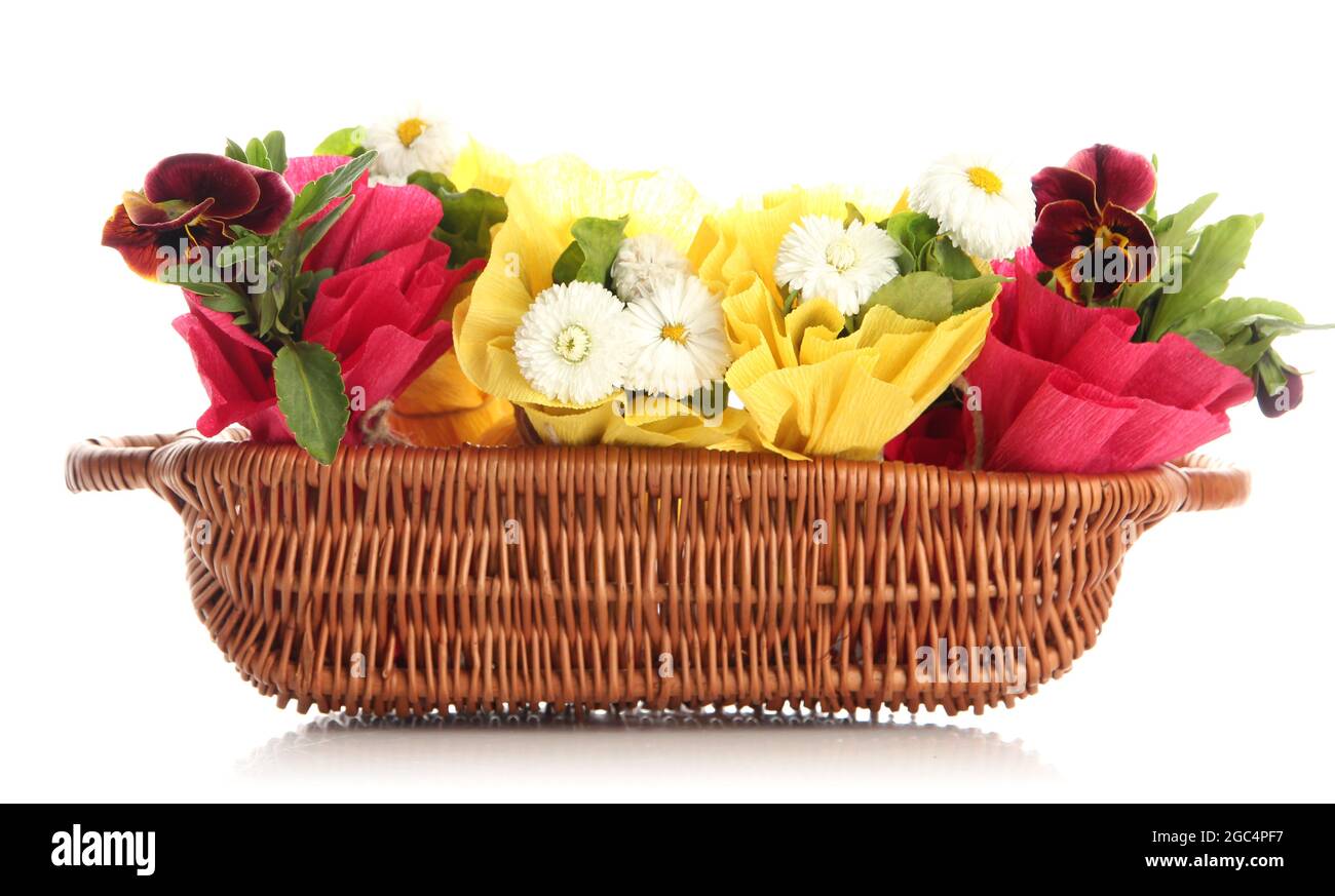 Beautiful spring flowers in basket isolated on white Stock Photo - Alamy