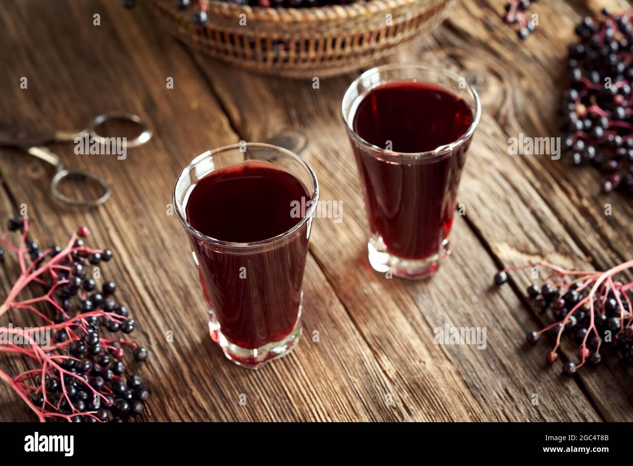 Two glasses of black elder syrup with fresh elderberries collected in ...