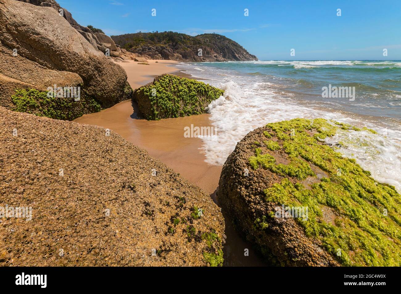 a rocky beach with moss next to a body of water Stock Photo - Alamy