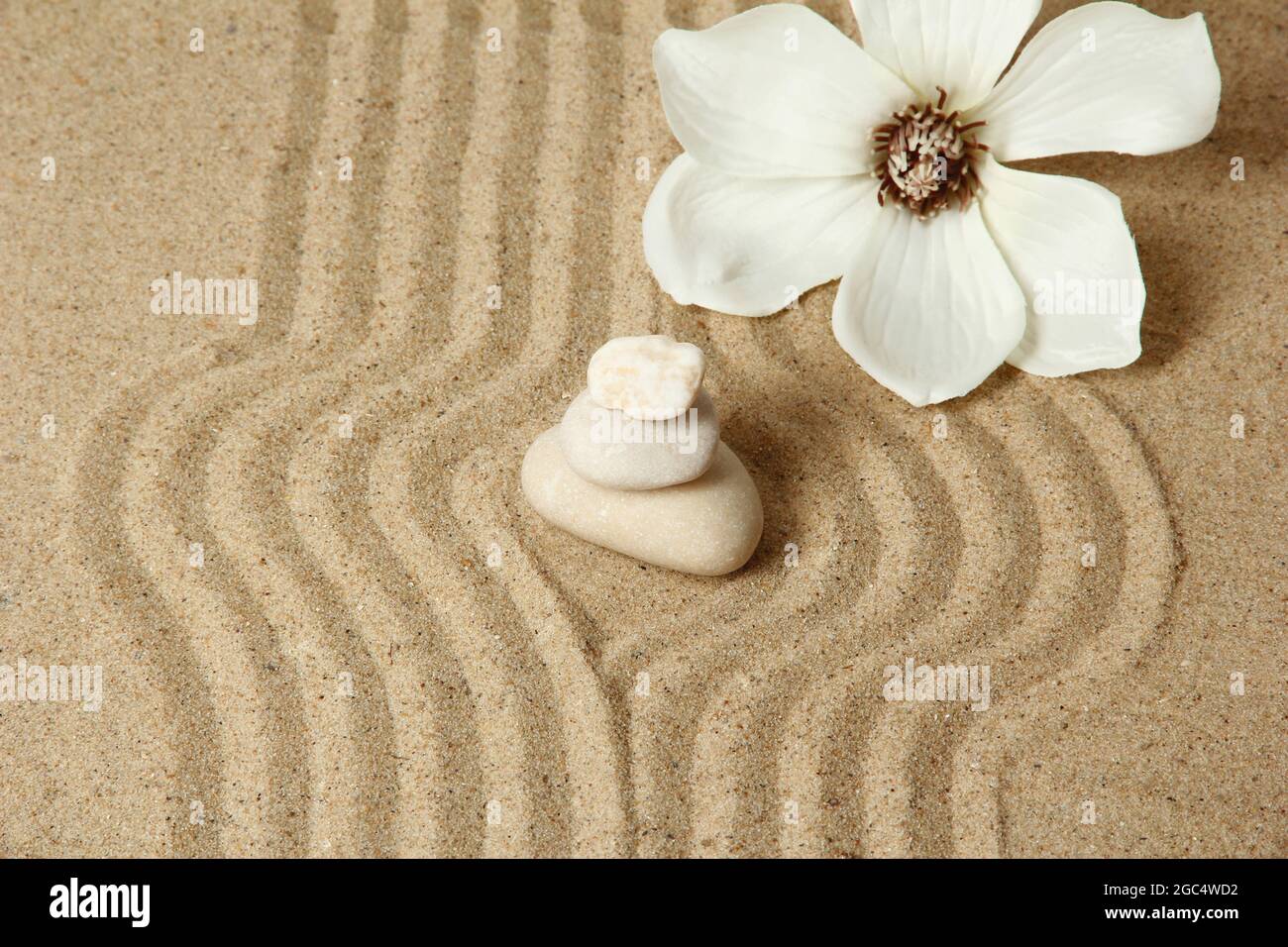 Zen garden with raked sand and round stones close up Stock Photo - Alamy