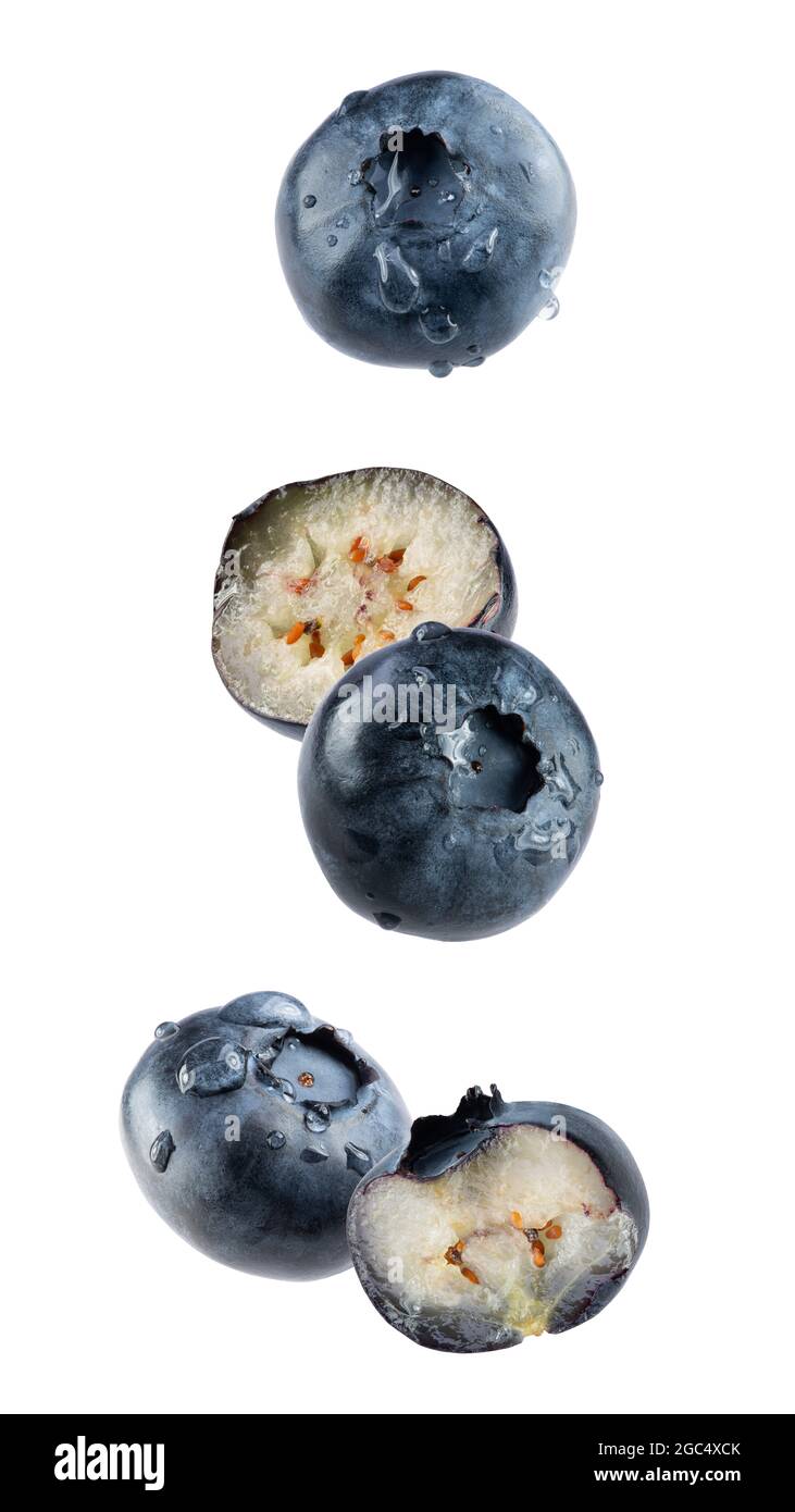 falling blueberries isolated on a white background Stock Photo - Alamy