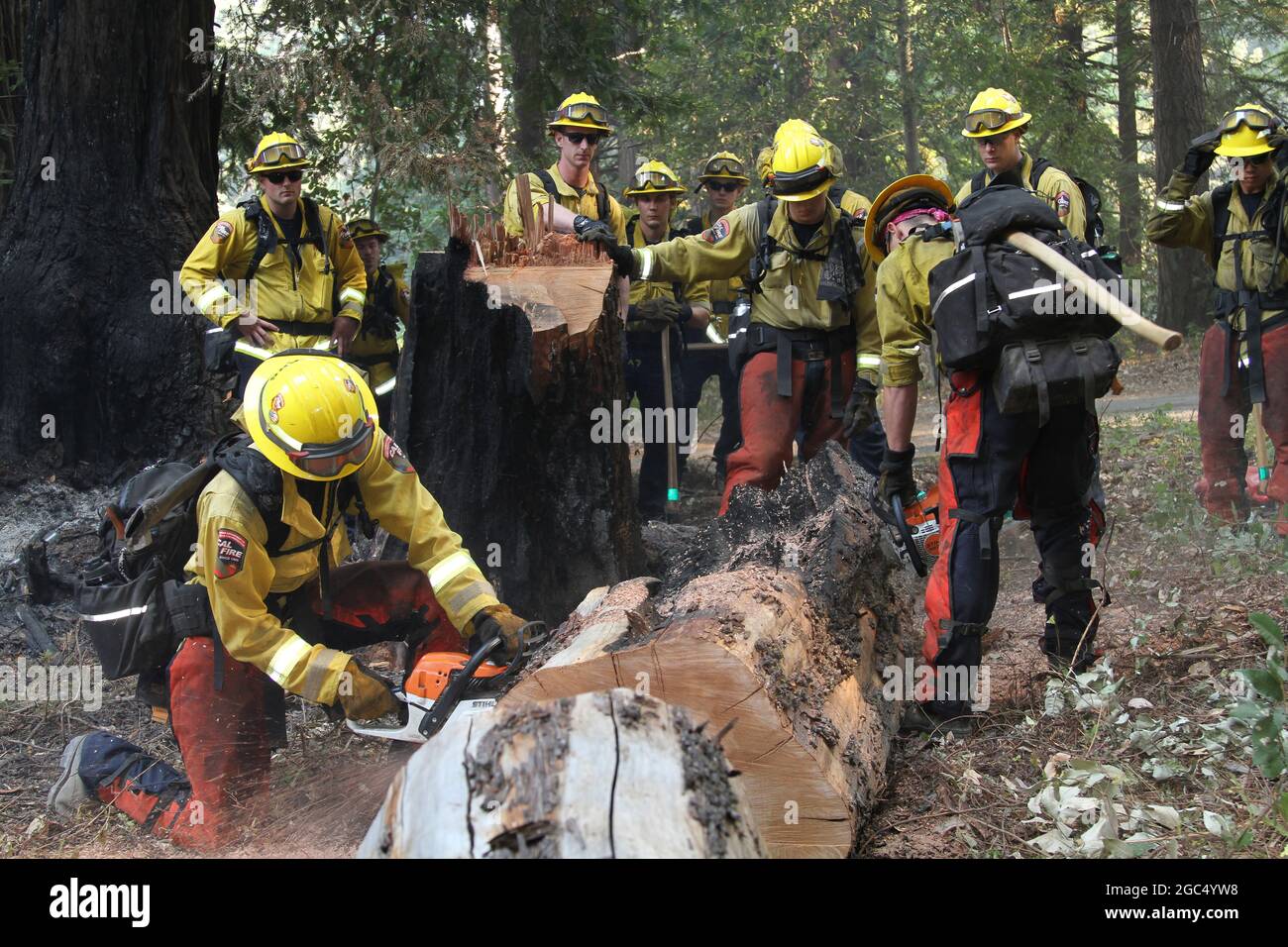 U.S. Army Soldiers of the California Army National Guard’s Task Force ...