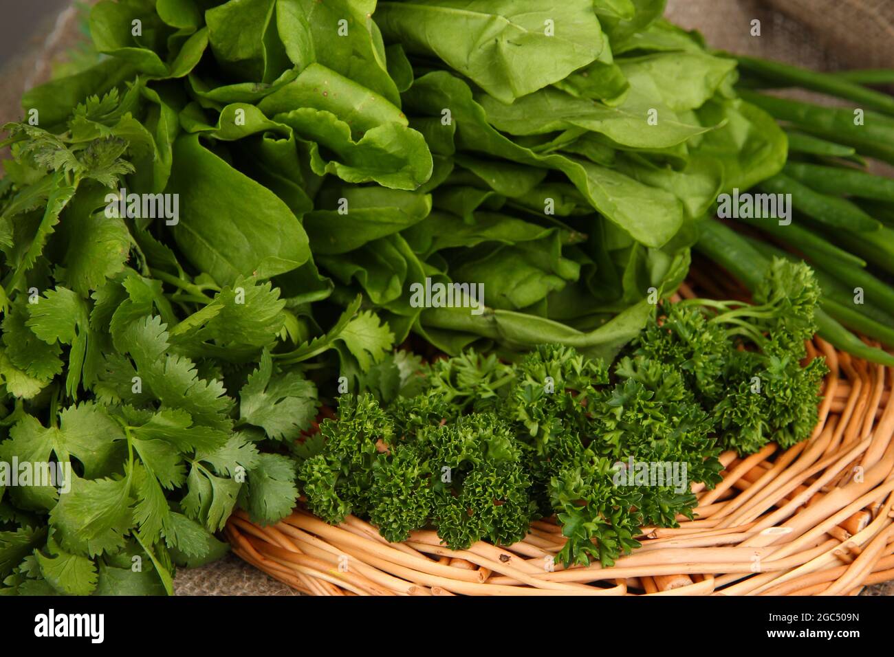 Useful herbs close up Stock Photo - Alamy
