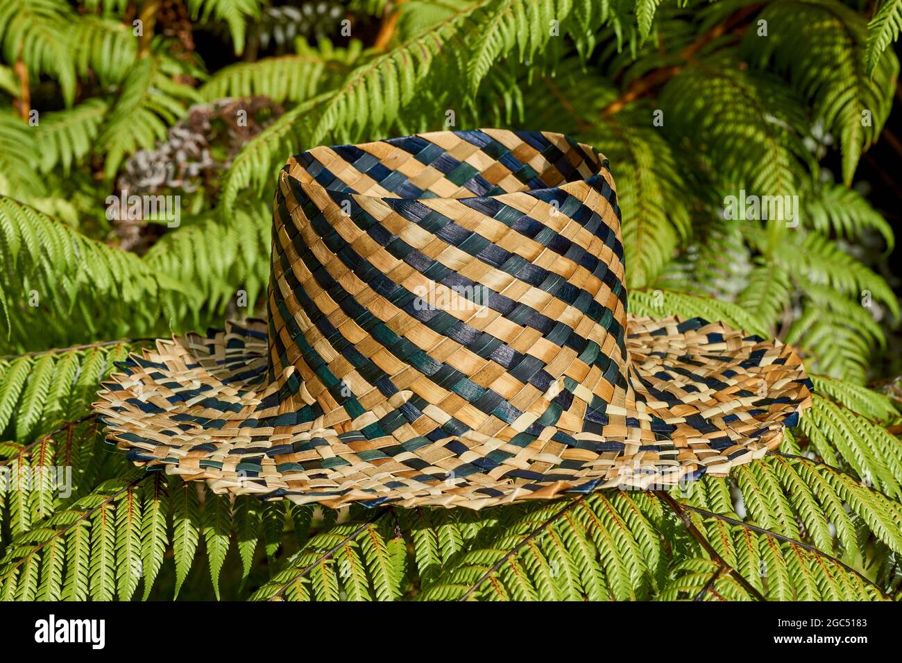 Harakeke hi-res stock photography and images - Alamy