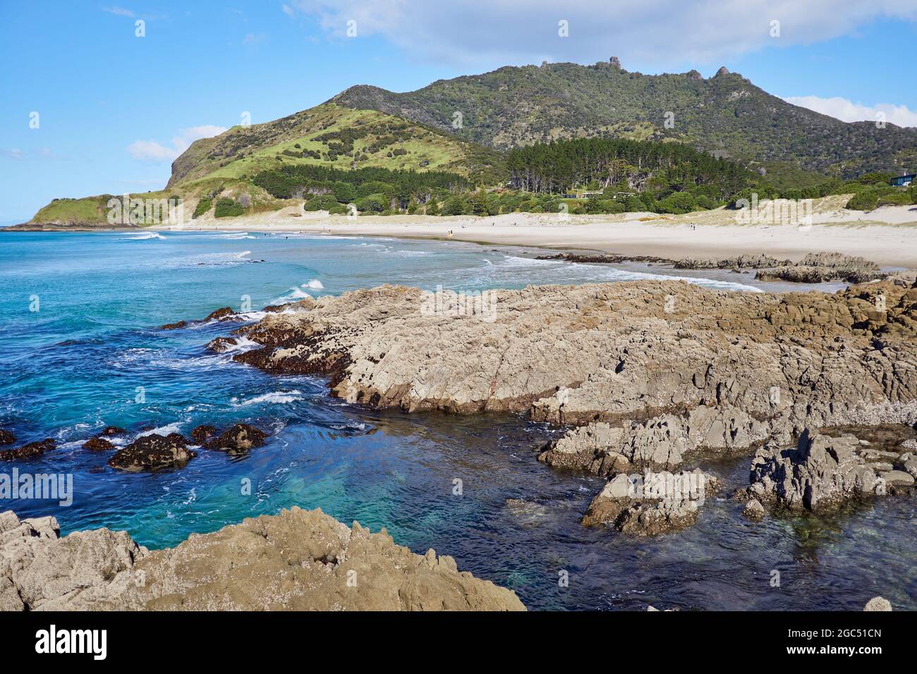 Ocean Beach, Whangarei Heads, Northland, New Zealand Stock Photo - Alamy