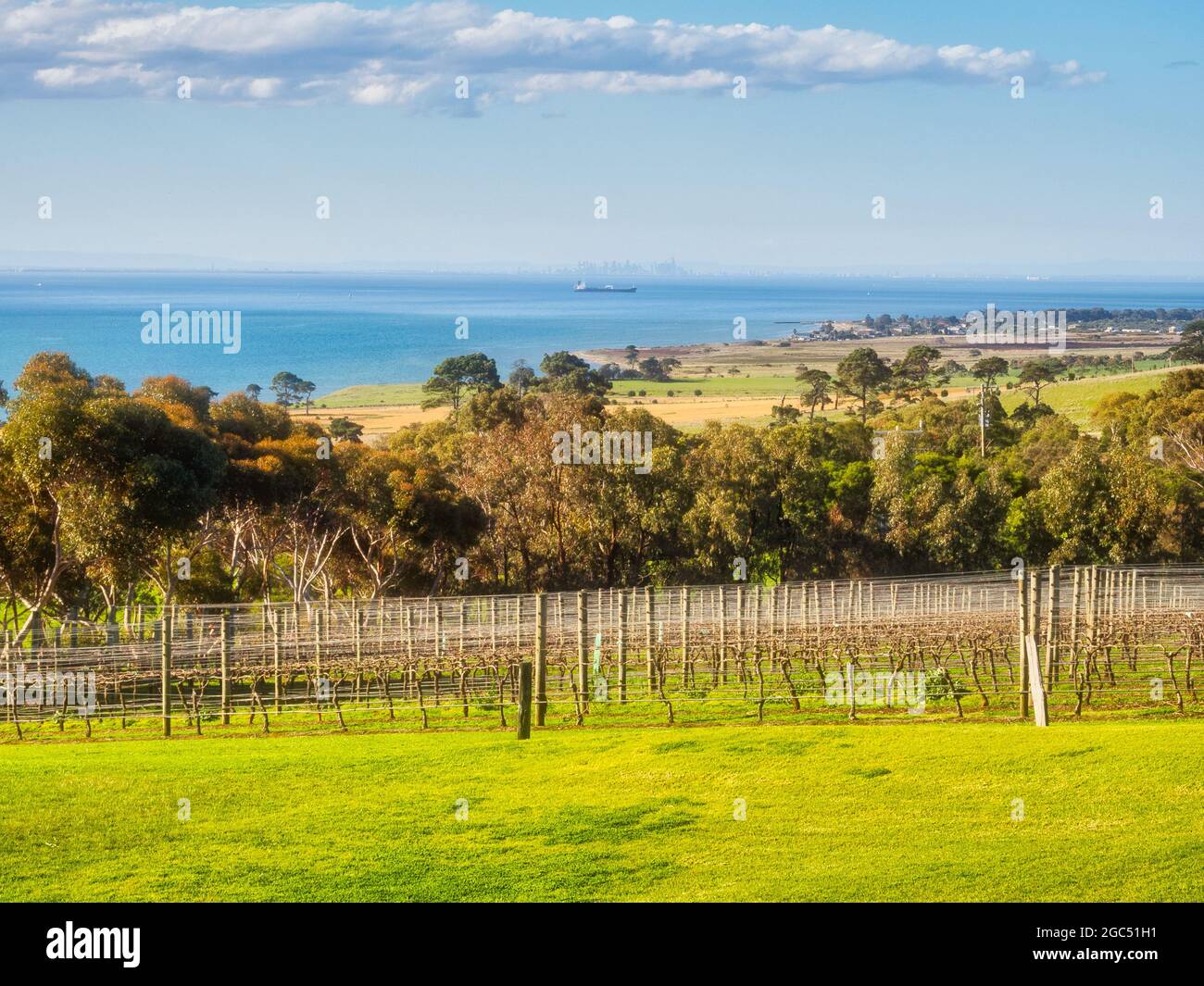 Bellarine peninsula winery hi-res stock photography and images - Alamy