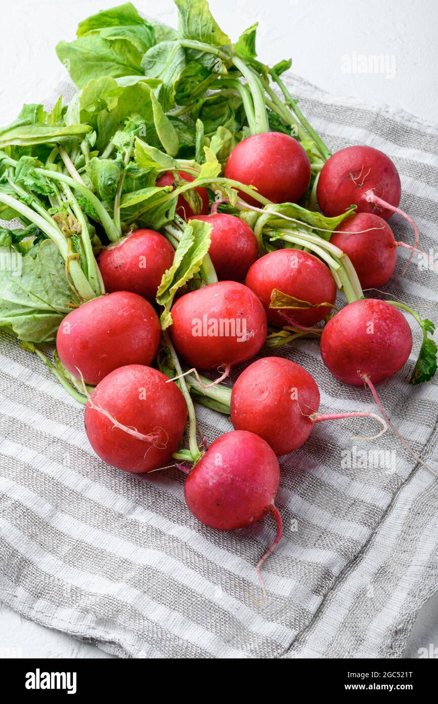 Bunch of radishes. Freshly harvested, purple colorful radish. Growing ...