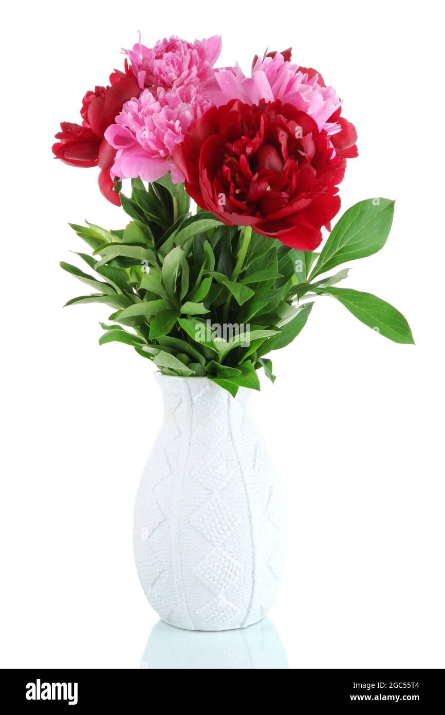 Beautiful peonies isolated on white Stock Photo - Alamy