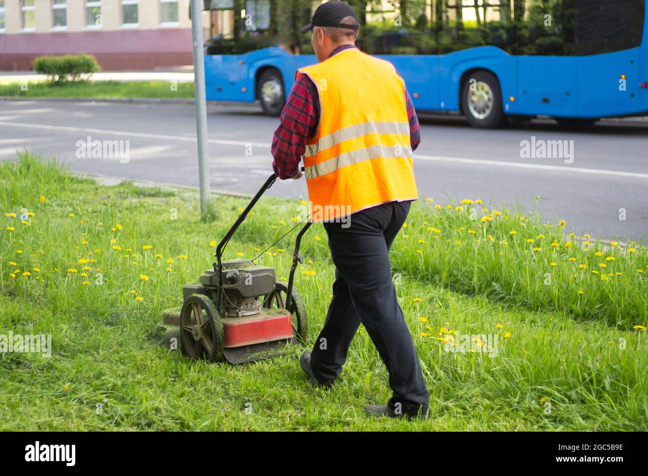 Mowing the lawn. The gardener mows the grass. The lawn mower is powered ...