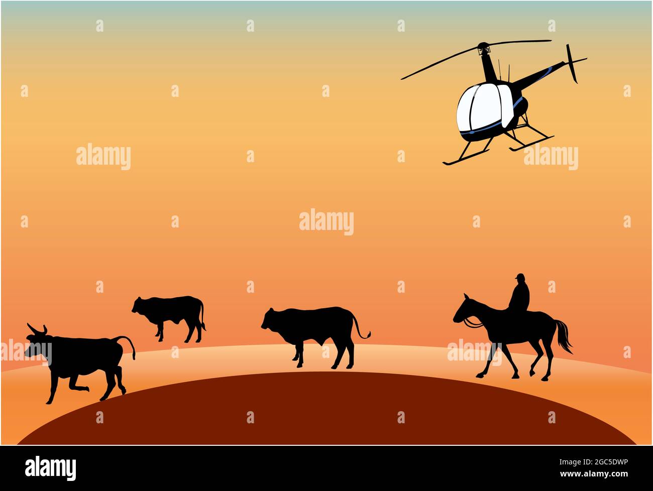 Australian cattle silhouette hi-res stock photography and images - Alamy